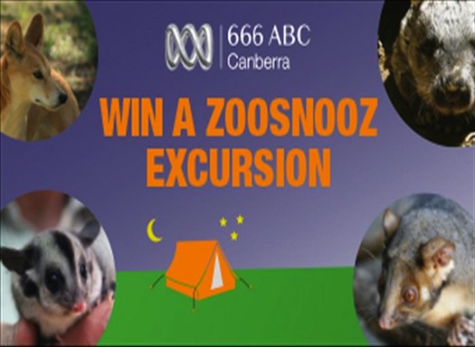 Local school to win overnight zoo excursion with 666 ABC Canberra ...