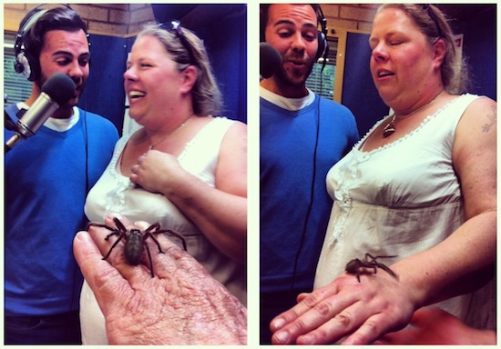 Star FM's fearophobia - RadioInfo Australia