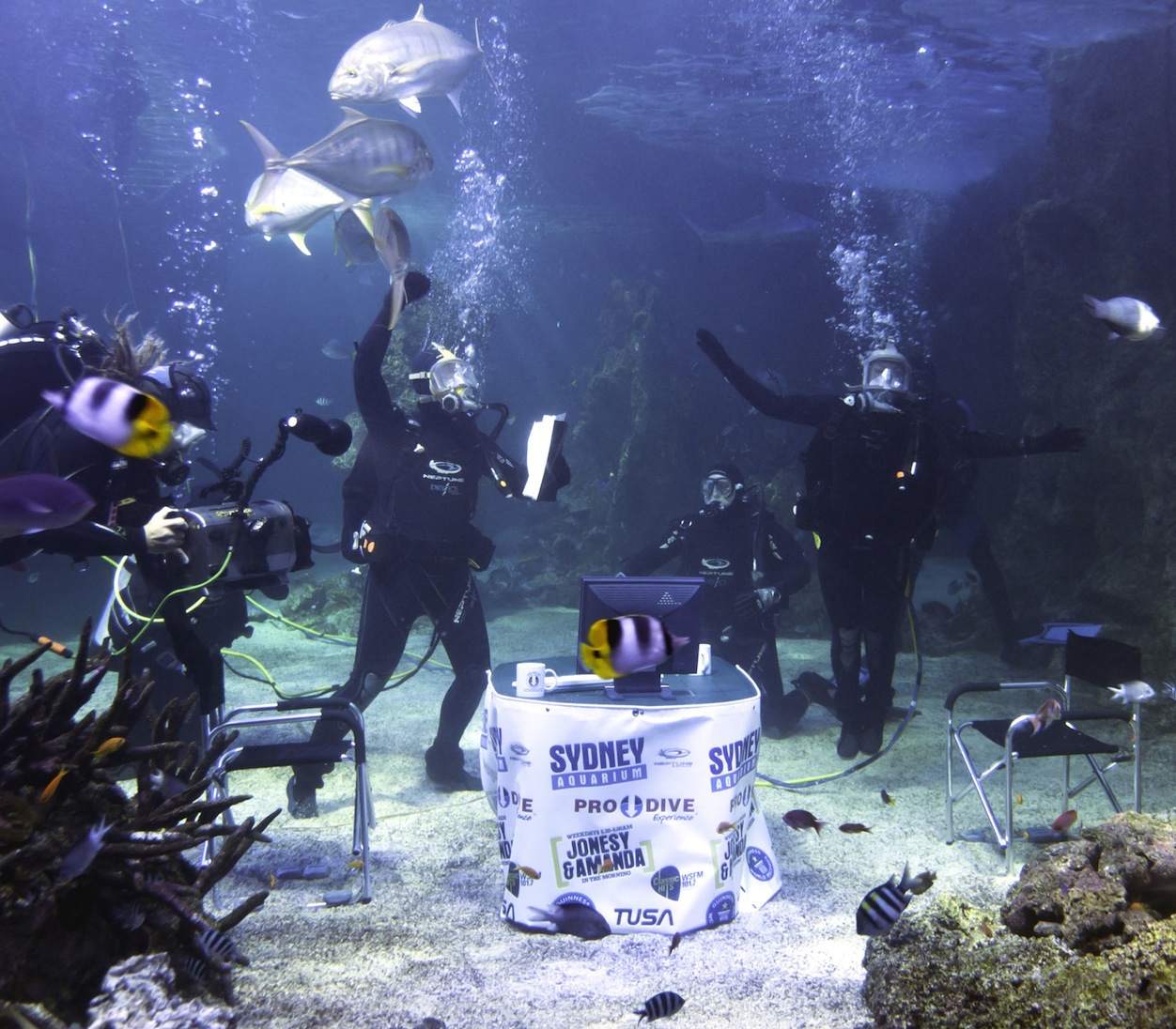 Guinness world record holders Jonesy & Amanda swim with sharks ...