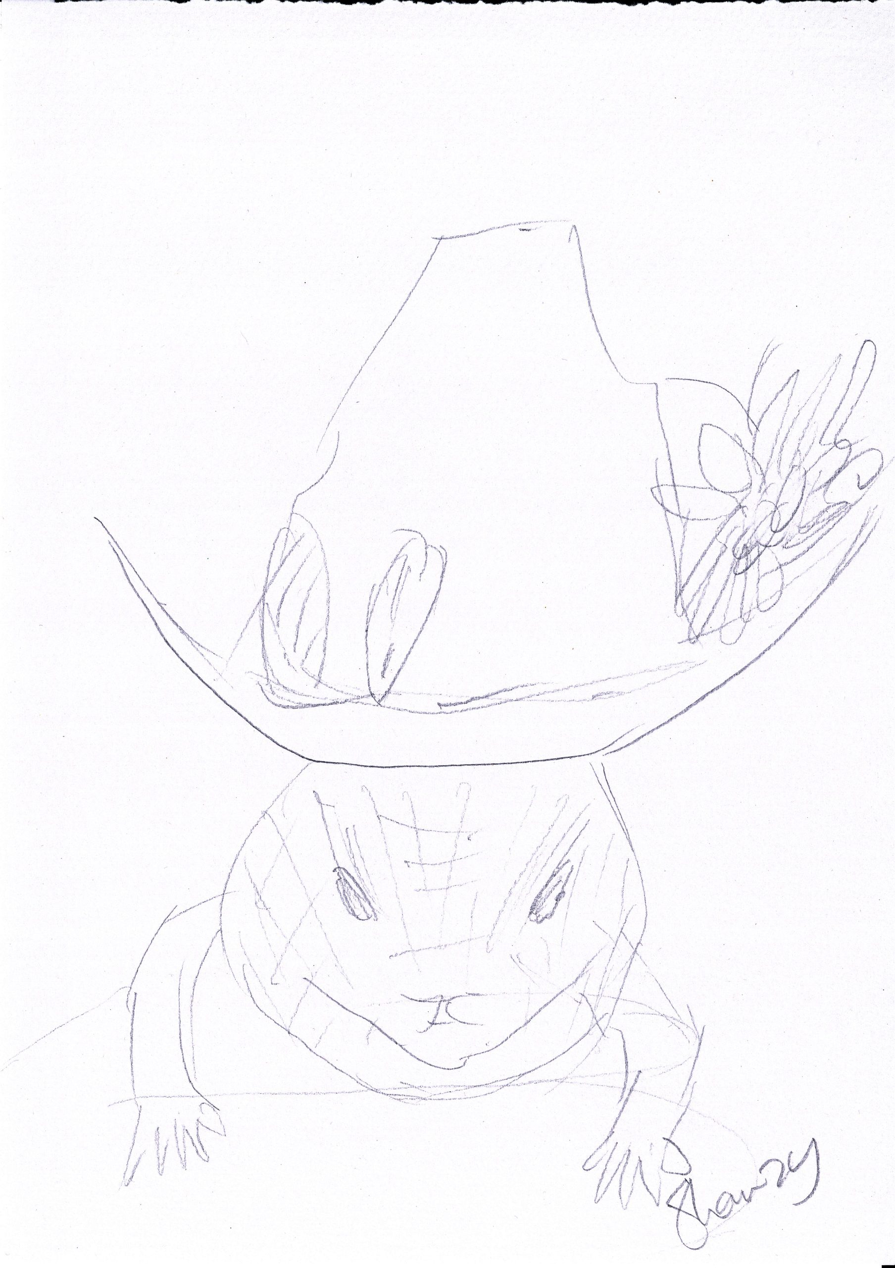 Poorly Drawn Pets - Clairsy and Lisa use their art 'skills' for a good ...